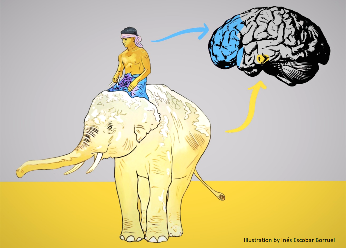 The Elephant and the Rider - Breakthroughs